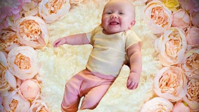 Fundraiser for Austin Jarrell by Bree Jarrell : Baby Addie