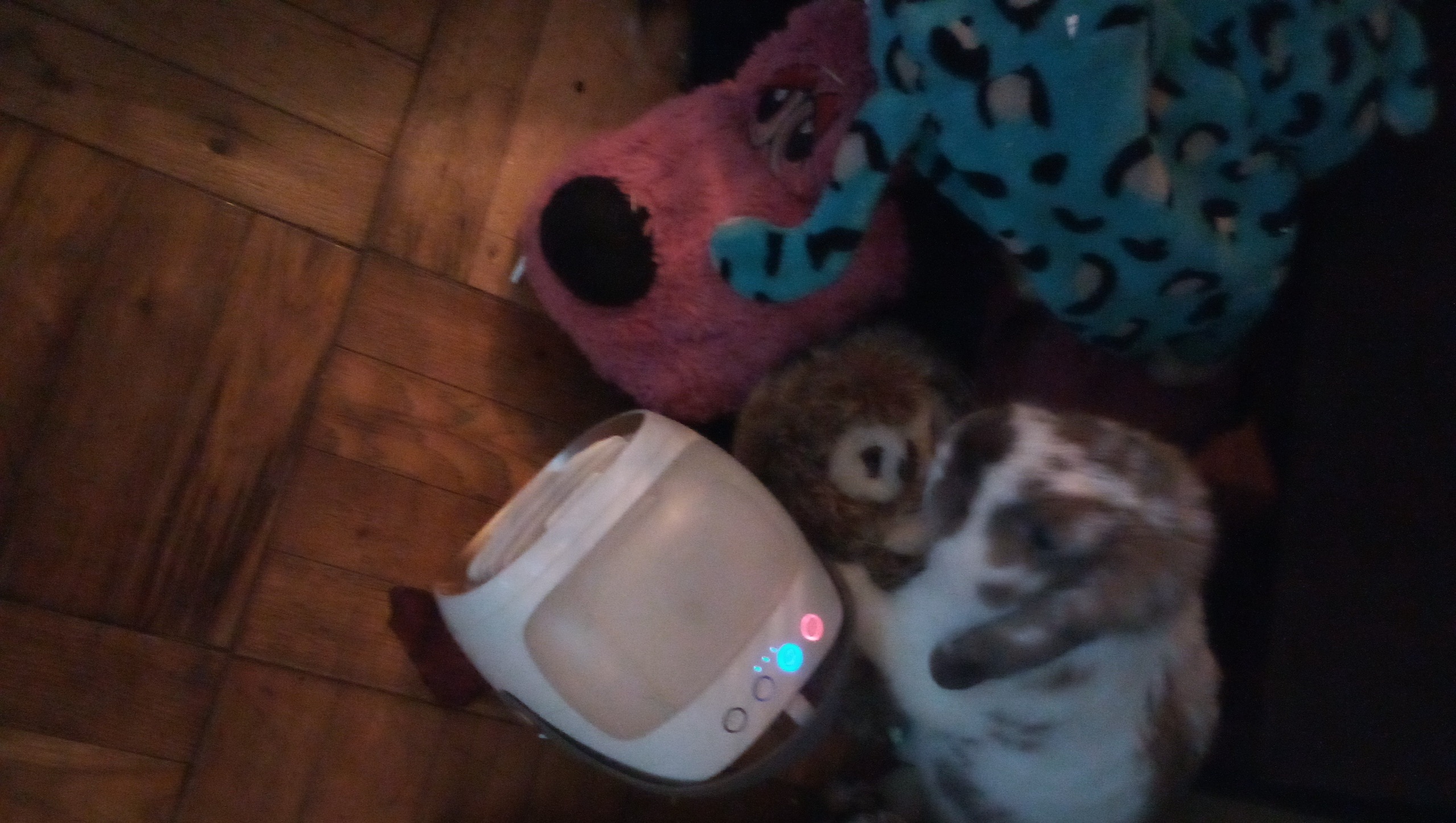 Fundraiser by Meagan Cavanaugh : Take Tootoo to vet