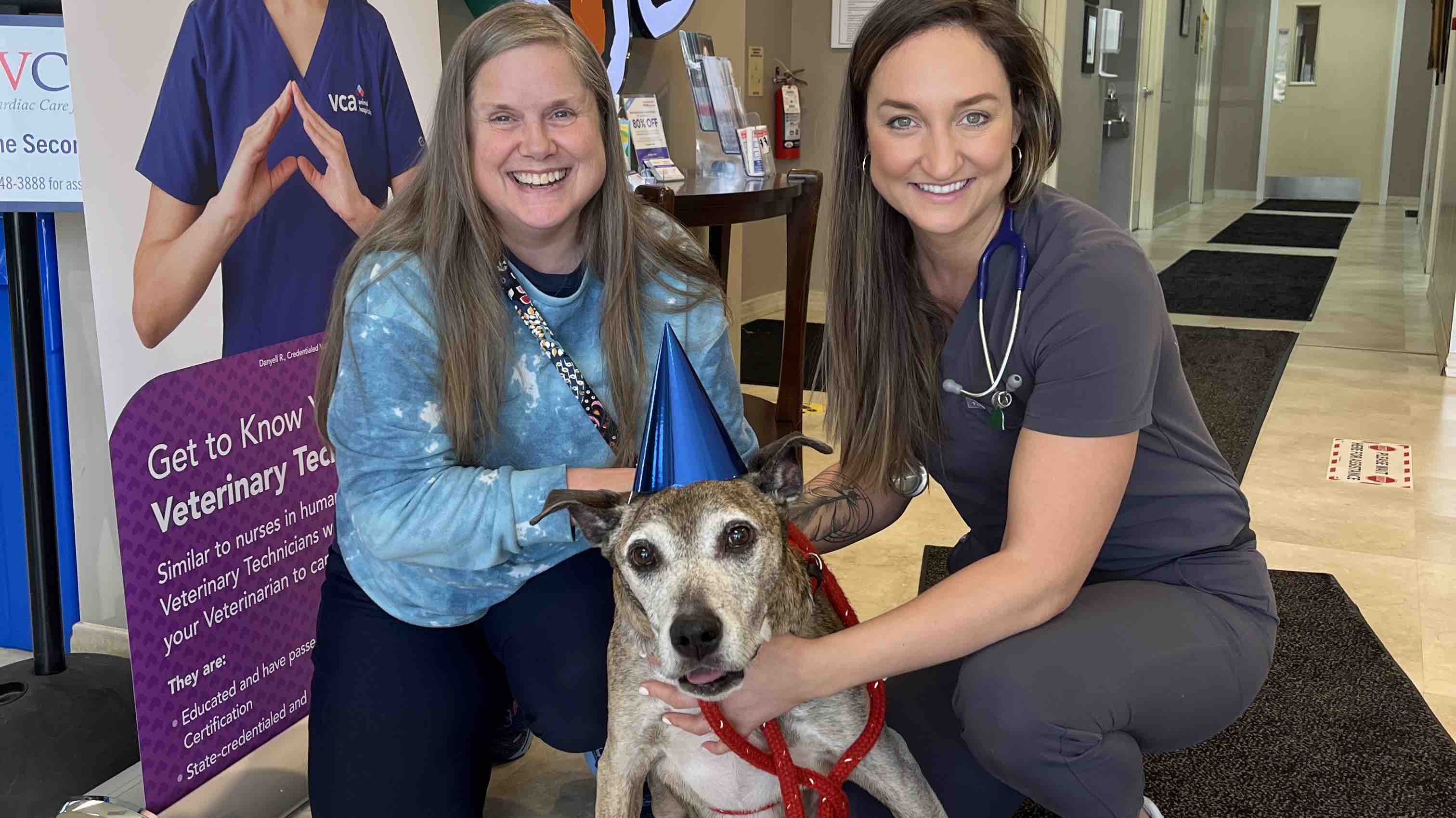 Fundraiser by Michael Hulslander : Wrigley Needs Medical Treatment