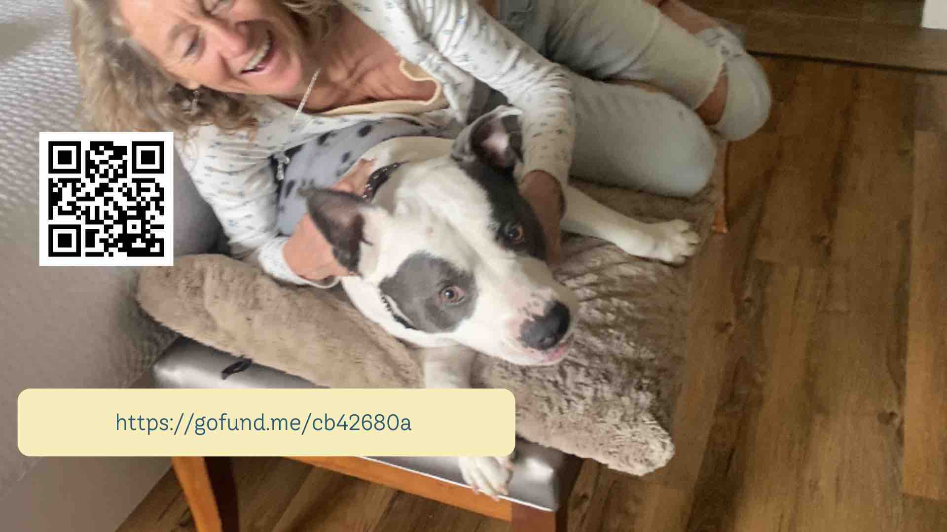 Fundraiser for Kimberly LaBonte by Tracy Ann Tighe : Join us in ...