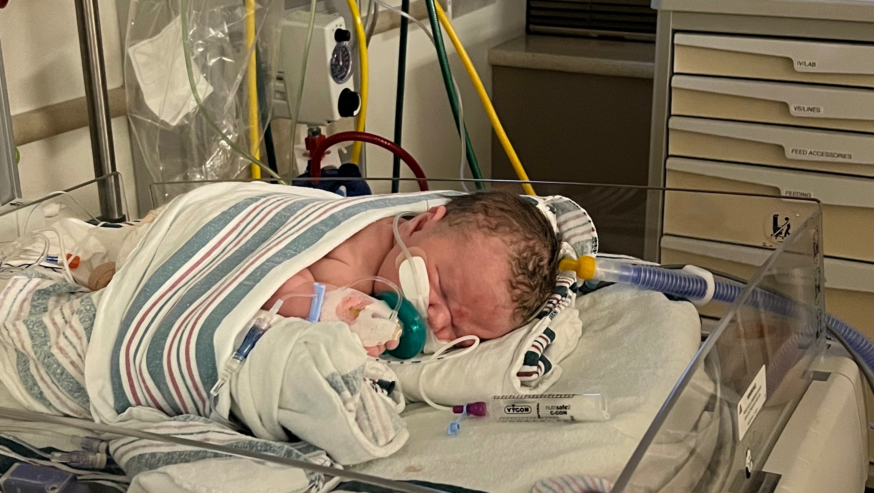 Fundraiser by Steven Messer : Harper’s Road To A Successful Recovery