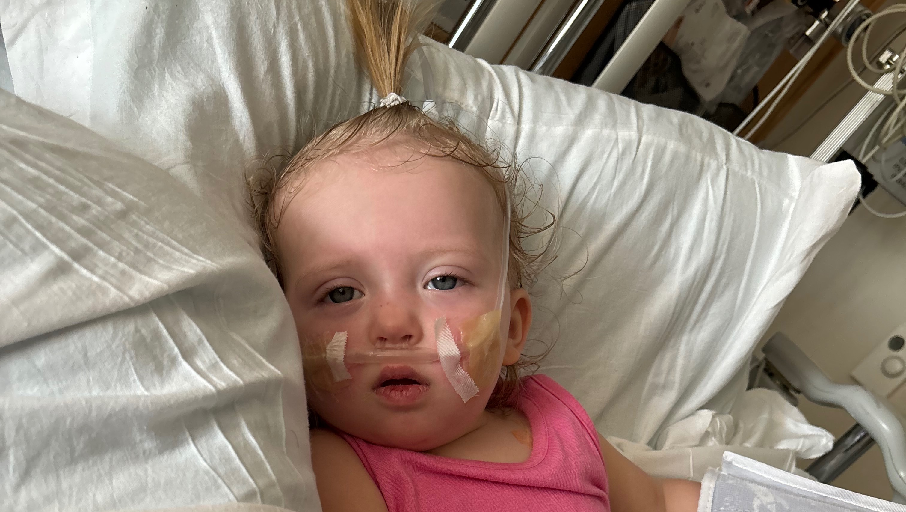 Fundraiser for Lisa Rose by Ann Keenan : Help with Mimi's Rose's Bone ...