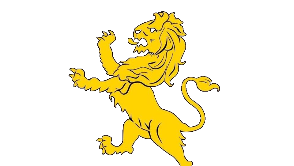 Fundraiser by Simon Brophy : Malahide RFC Pitch Development