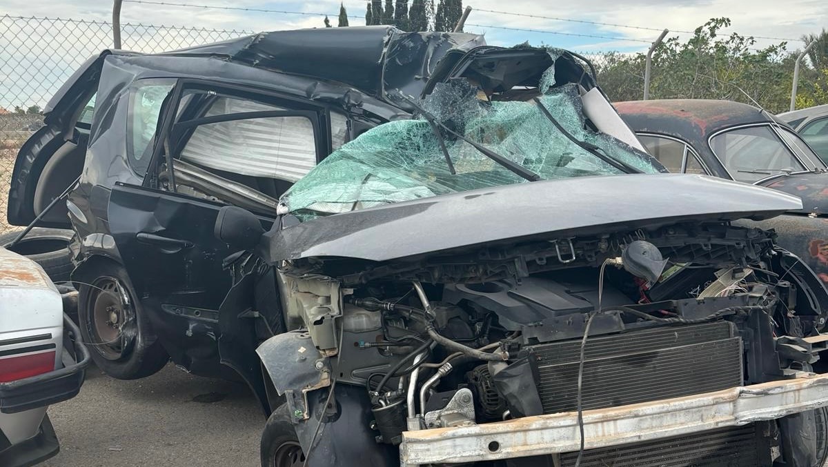 Fundraiser for Lynn Paterson by David Jeffries : Please help BERT get ...