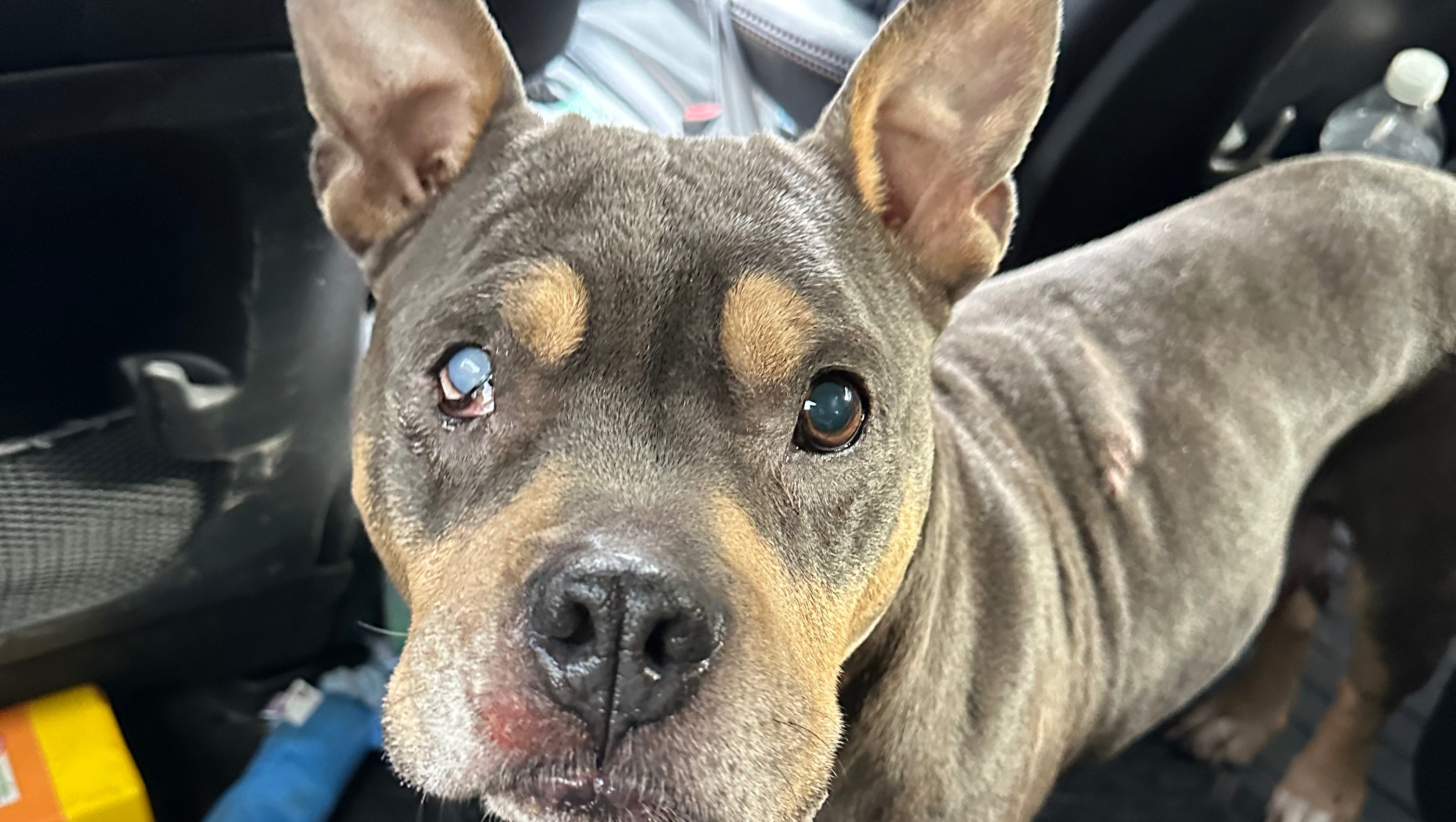 Fundraiser by Tiffany Pendleton : Someone tossed me out!