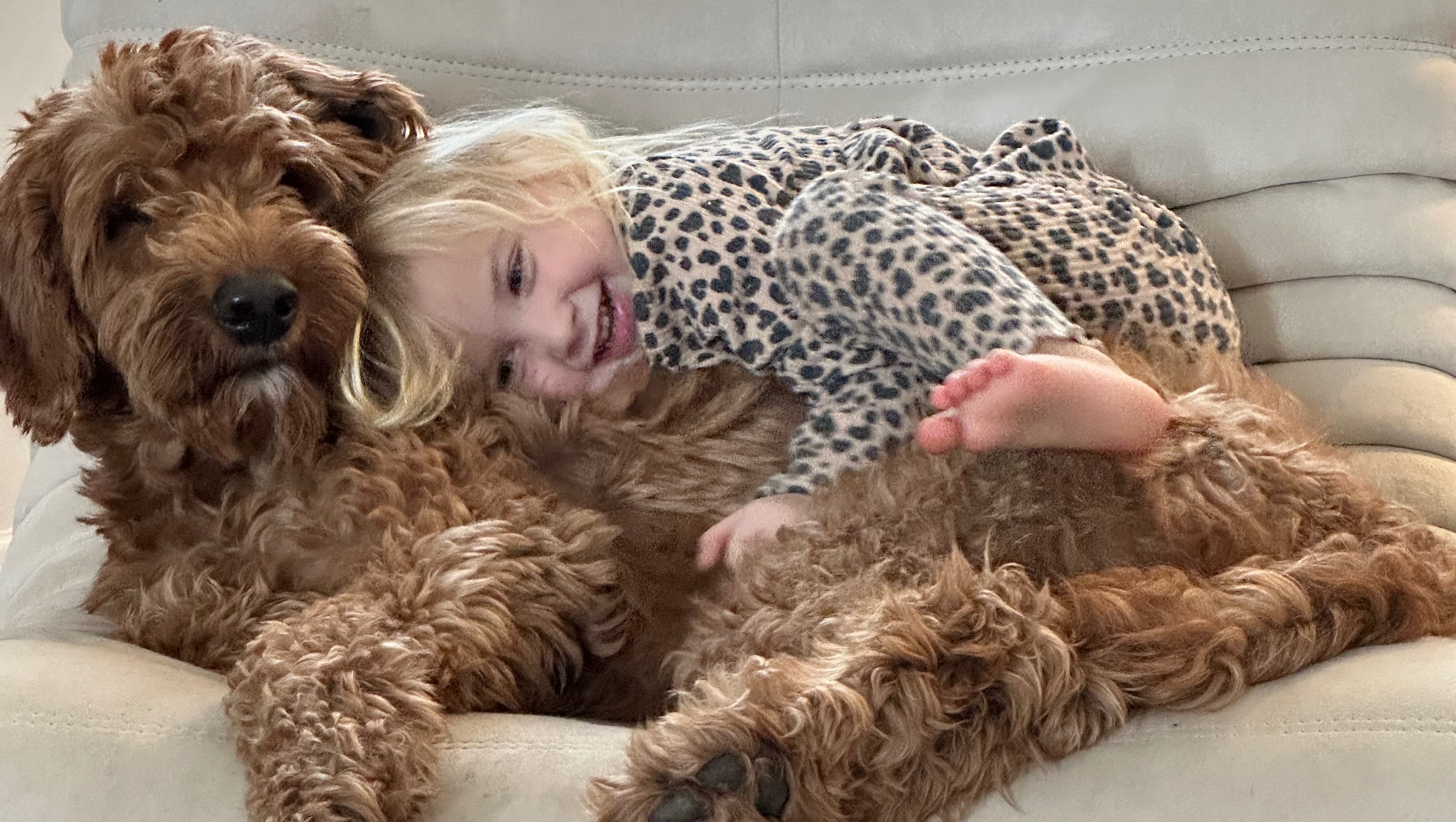 Fundraiser by Amelia Goodall : Ponderosa’s Body Mod Funds