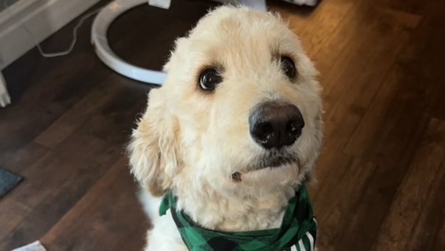 Fundraiser for Anthony Sieloff by Stephanie Allen : Emergency hip ...