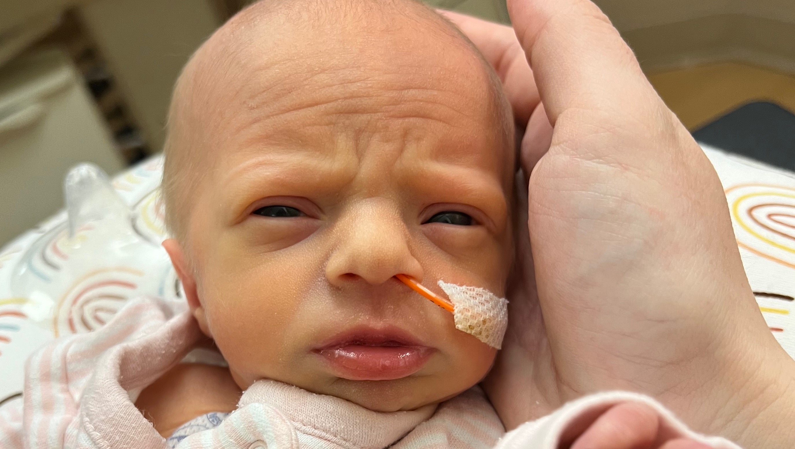 Fundraiser by Emily McEnroe : Emily & Finley