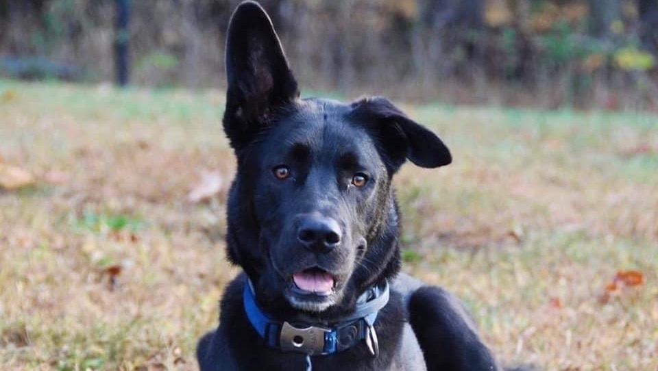 Fundraiser for Shane Killoran by Lauren Ashley Wackell : Brixx and ...