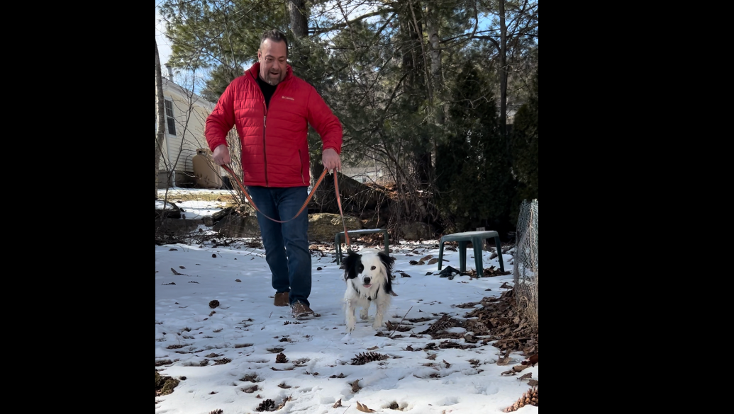 Fundraiser by Nicole Kosiba : Brian Partridge’s dog recover from a hit ...