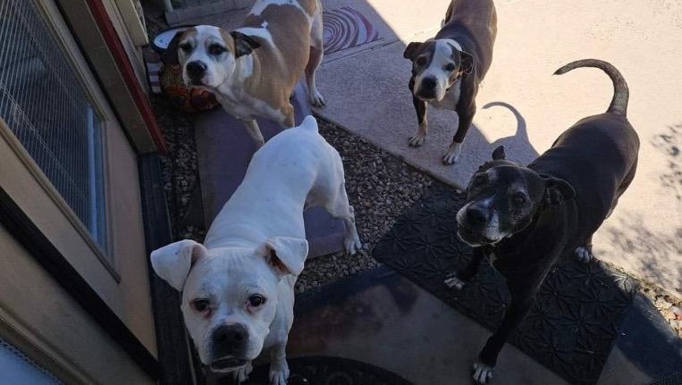 Fundraiser for Ian Quinn by Paulie Schnakenberg : Love for Mike Piche ...