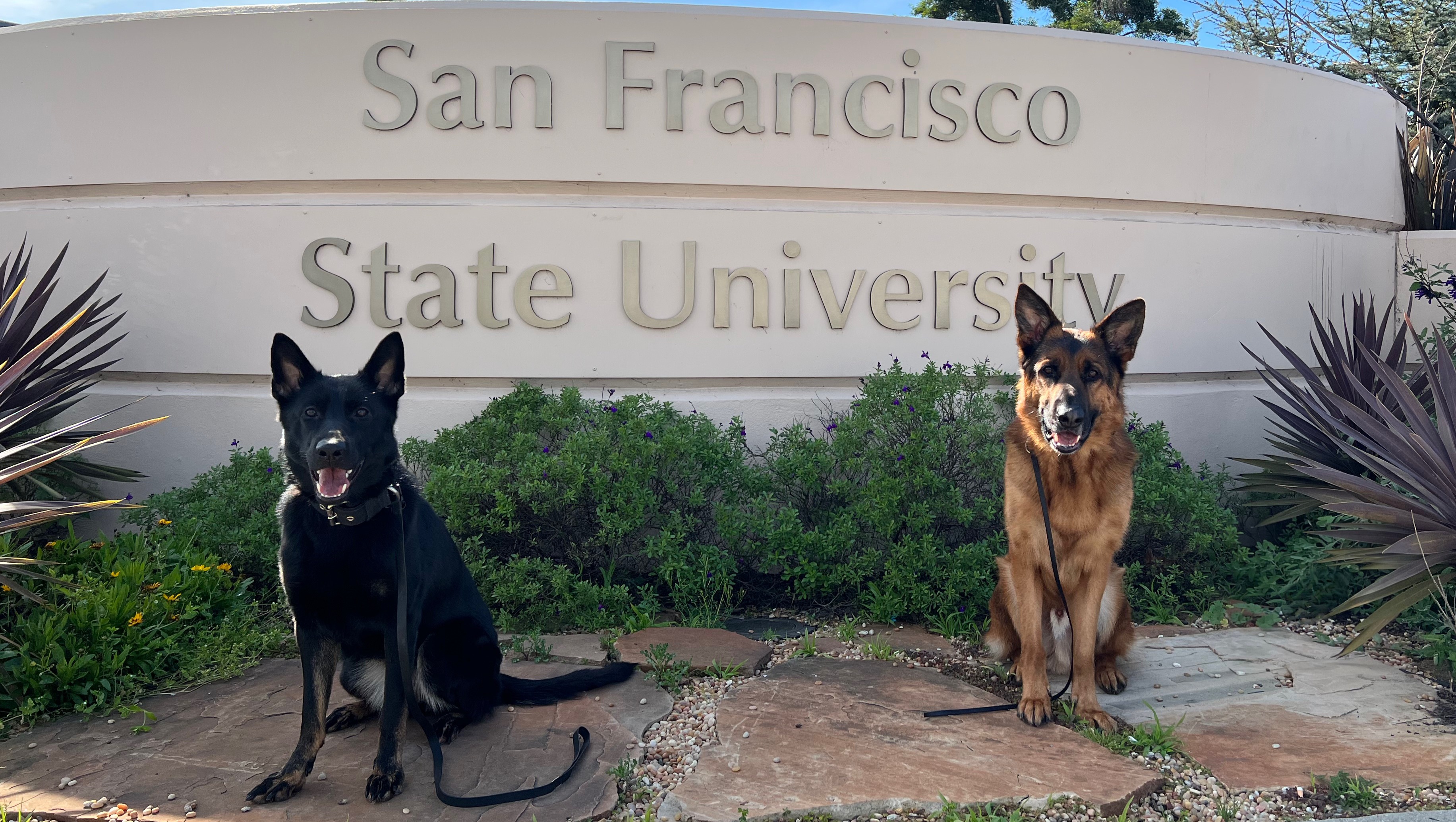 Fundraiser by Bella Eder : CoolBite Project Research