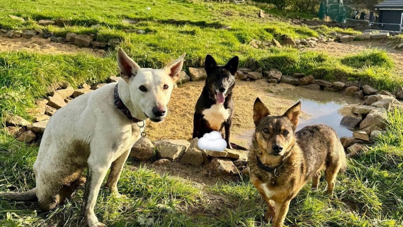 Fundraiser by Samuel Jones : Marathon & Ultra Marathon in 9days for ...