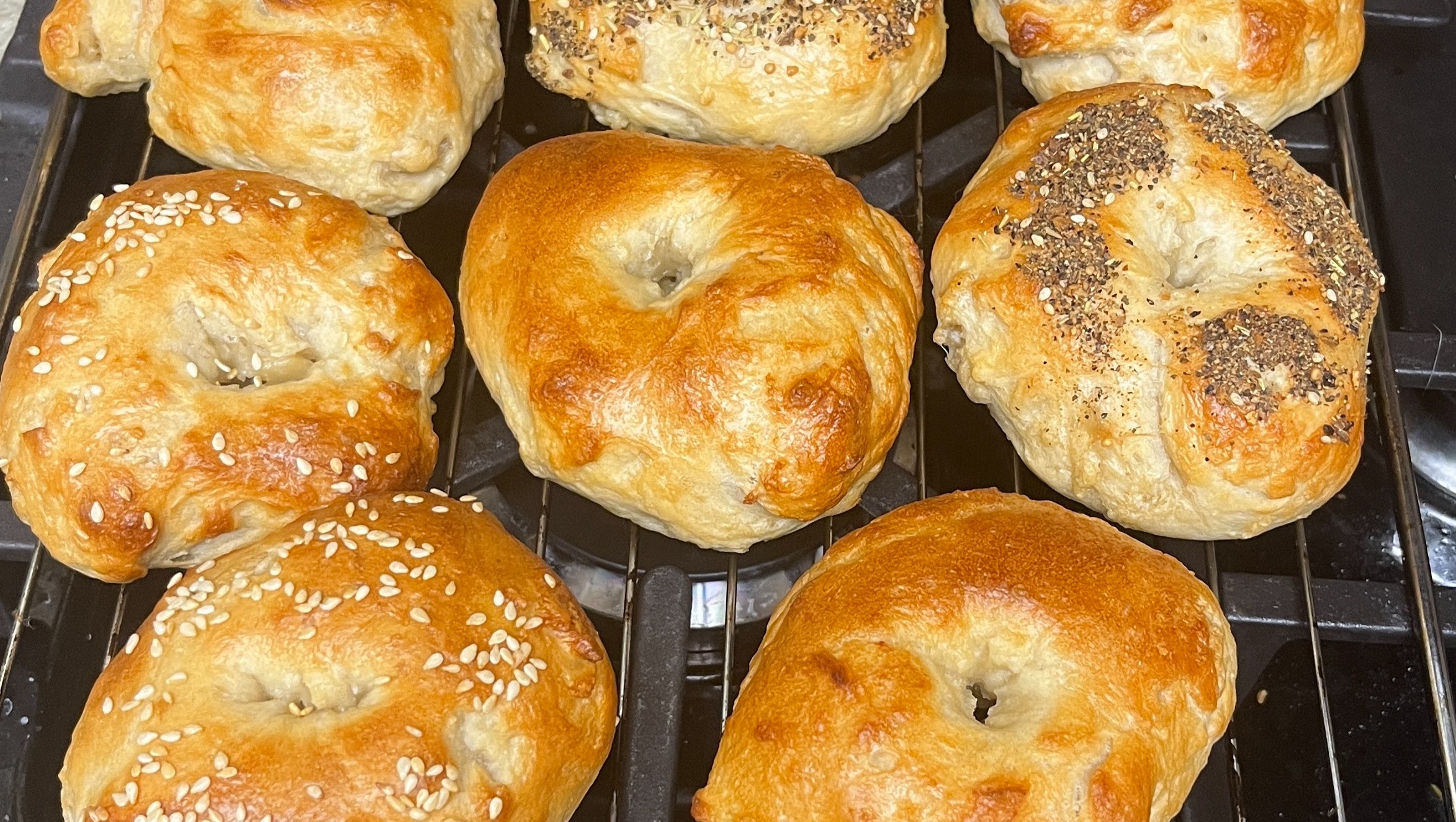 Fundraiser for Marisa Abzug by Marisa Abzug : Please help us start our ...