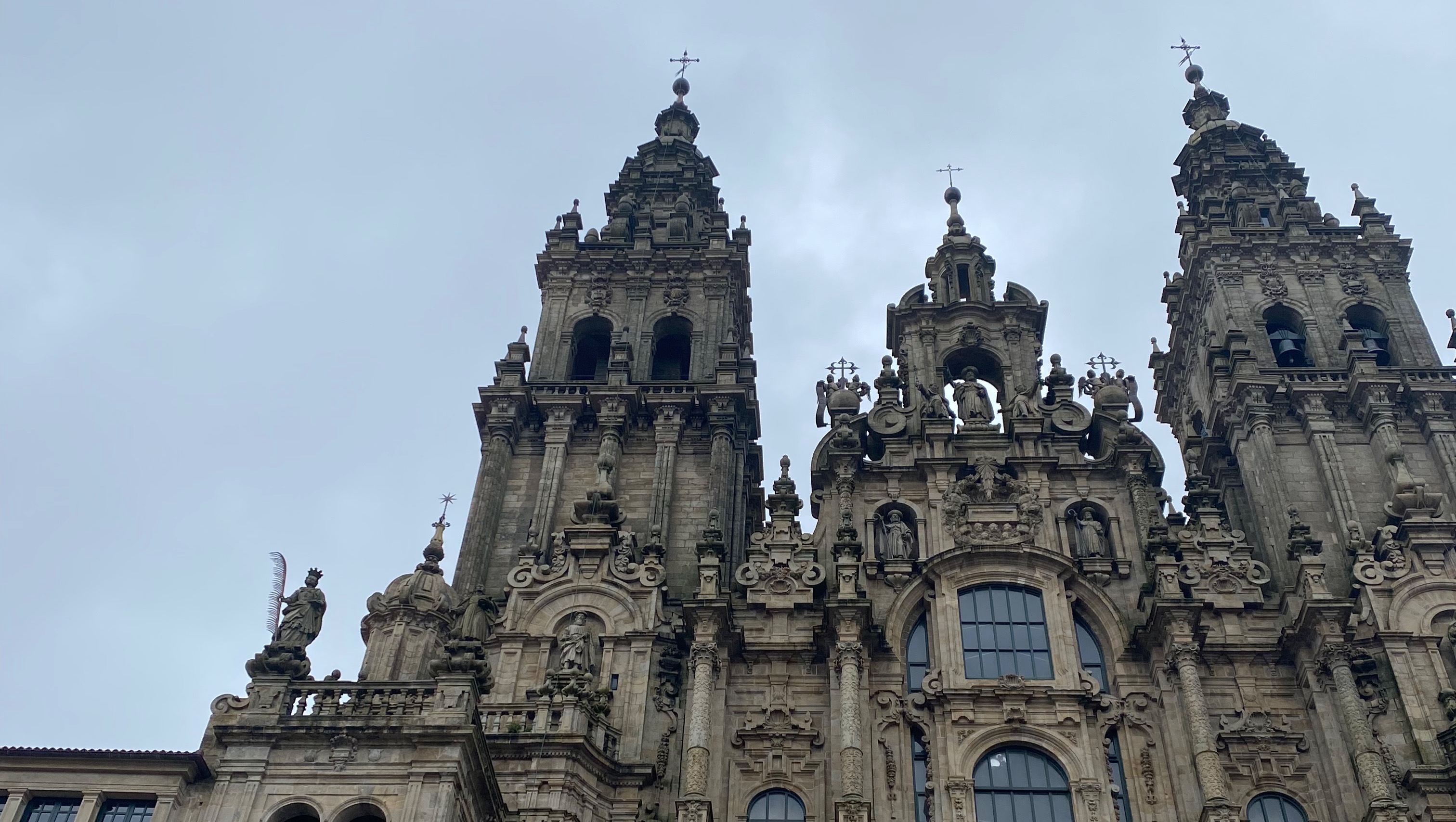 Fundraiser by Niamh de Búrca : Trinity Vincent de Paul Fundraiser 2024