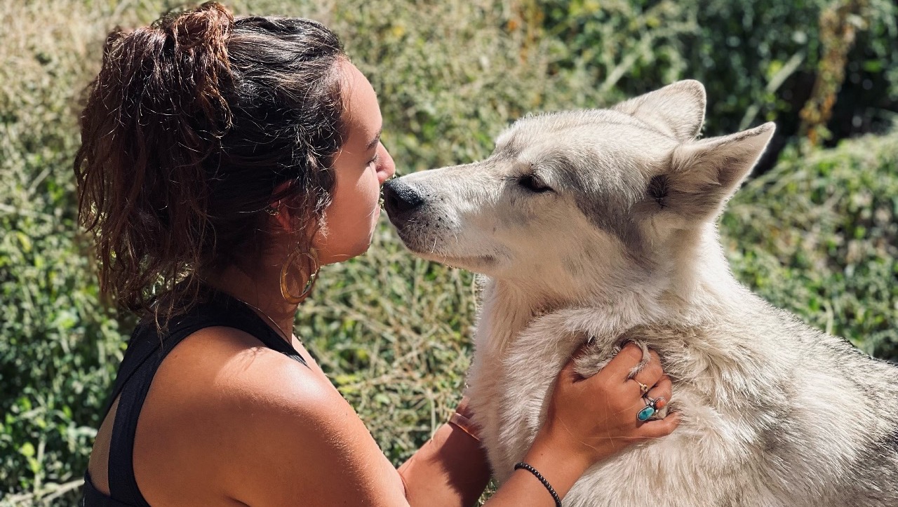 Fundraiser by Hayley Almeida : Help in rescuing Nuni to go to a wolf ...
