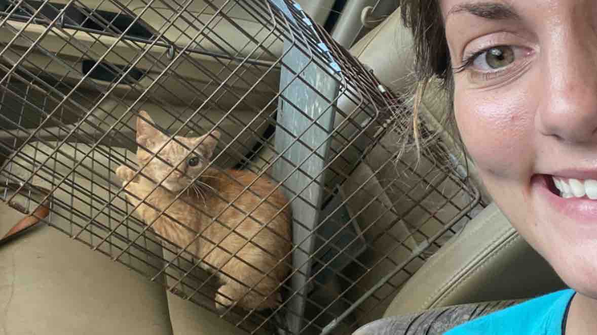 Fundraiser by Kileigh Holmes : TNR Feral Cats,Foster,Rescue