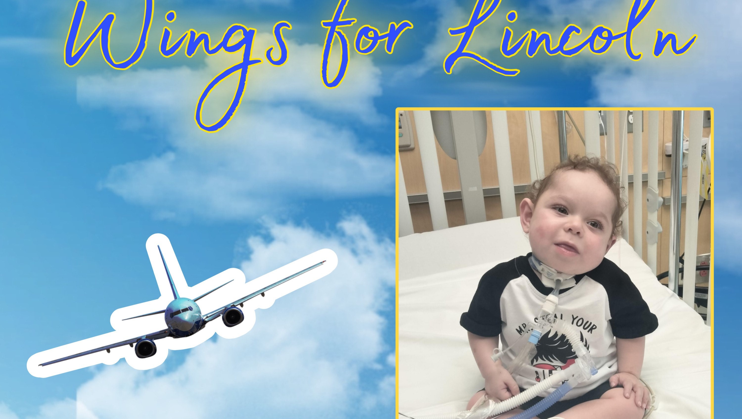 Fundraiser by Caitlin Sullivan : Wings For Lincoln