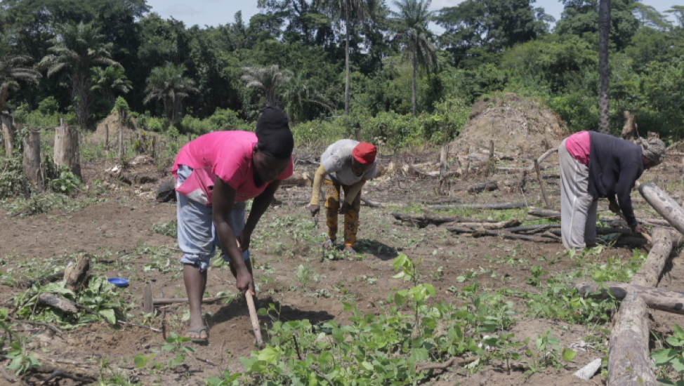 Fundraiser by Jel Dennie Luma : Support Local Farmers in Liberia, West ...