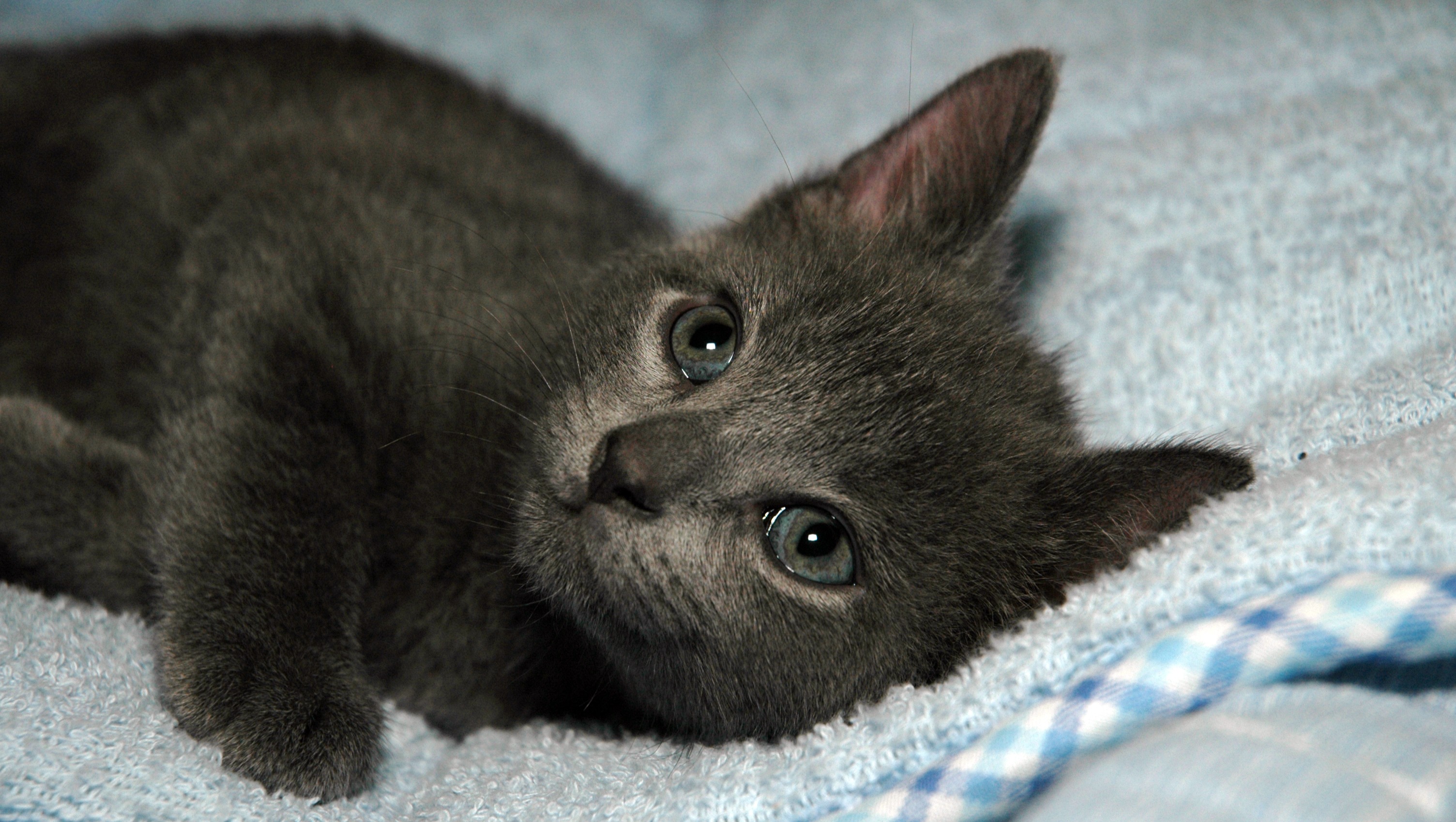 Fundraiser by terry cloyd : Please help if you can, my little girl ...