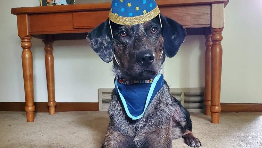 Fundraiser by Daniel DePew : Appa’s Cancer Treatment