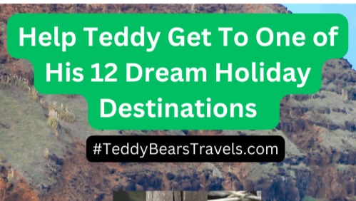 Fundraiser by Alex Chivers : Help Teddy Get To 1 of His 12 Dream Holiday...