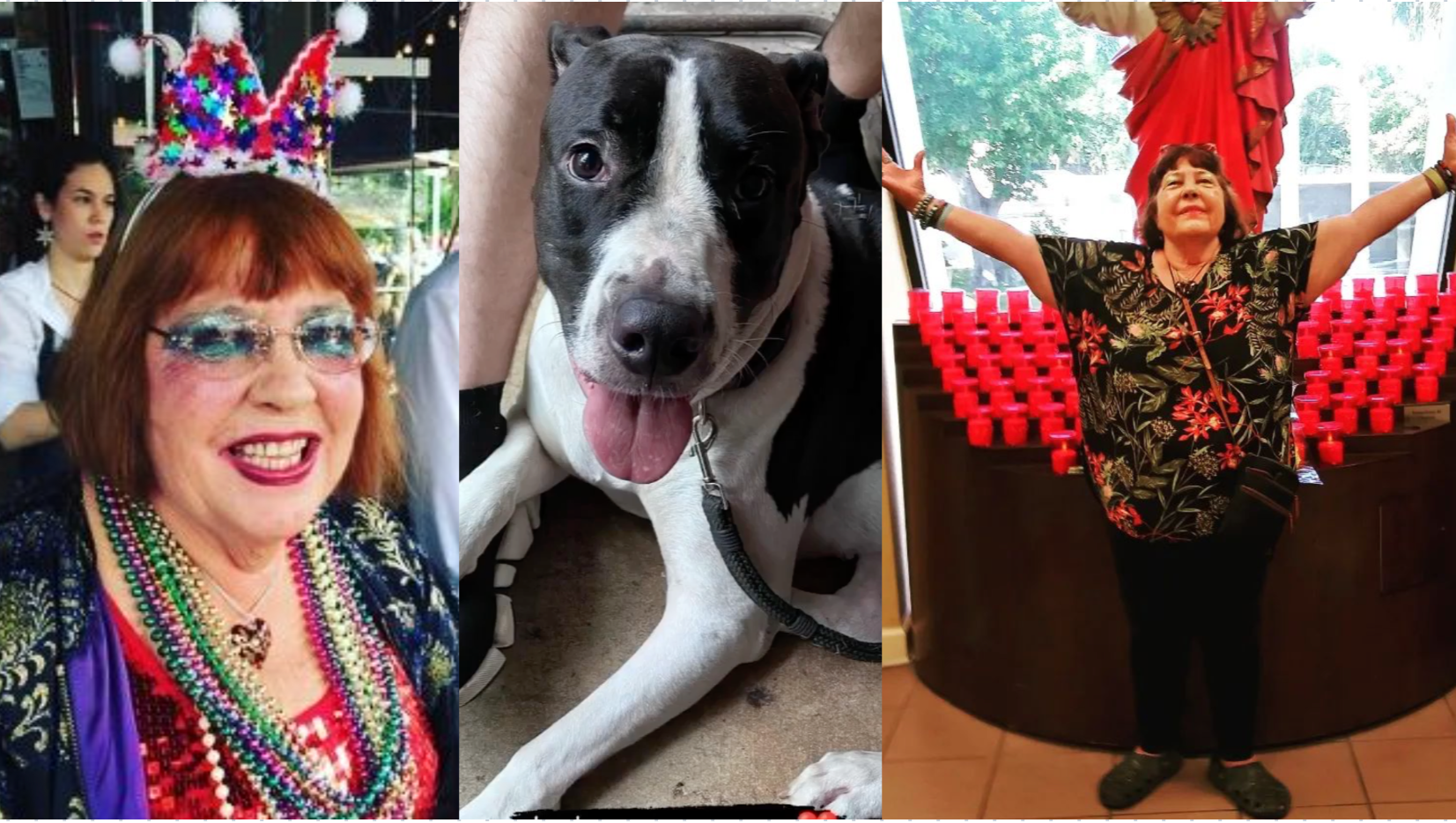 Fundraiser by Patrick Murdock : ELLEN IS BEING EVICTED AFTER 23 YEARS