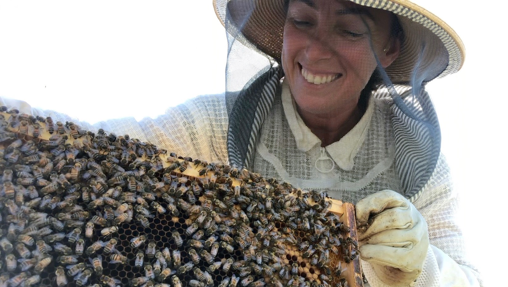 Fundraiser by Laura Patmore : Raise funds for honey bee breeding equipment Fundraiser by Laura Patmore : Raise funds for honey bee breeding equipment