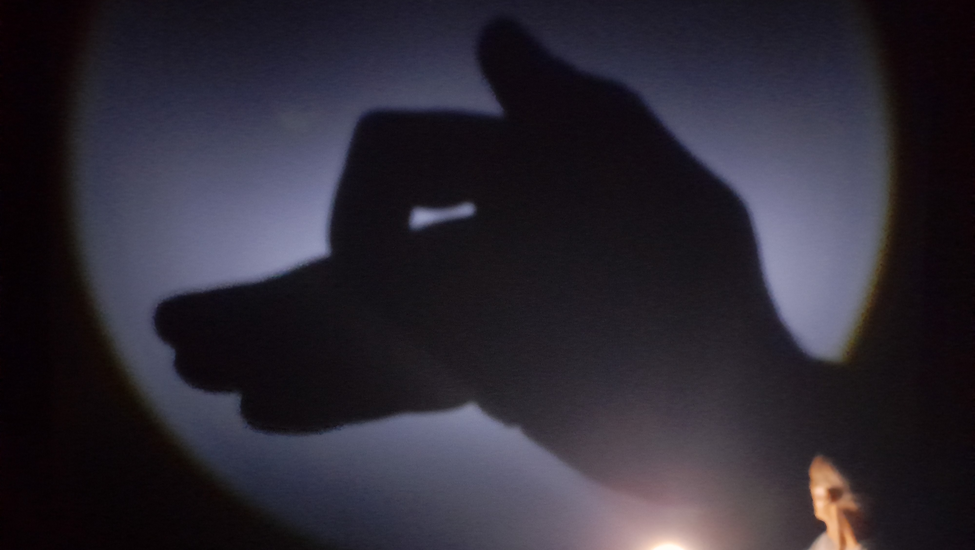 Fundraiser by Andrew Godbold : World Record Attempt – Largest Projected ...