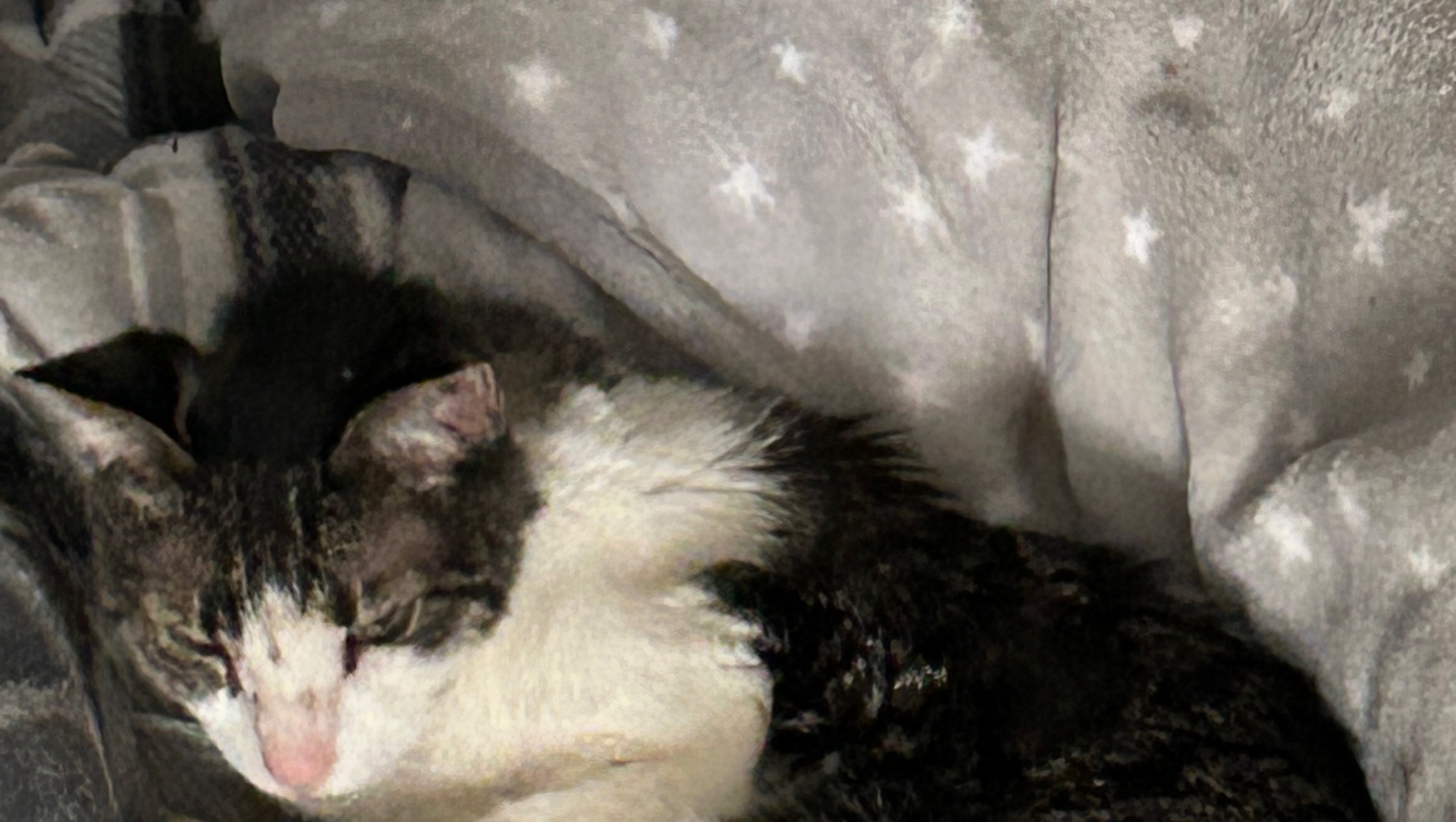 Fundraiser by John Chalkley : Little man surgery