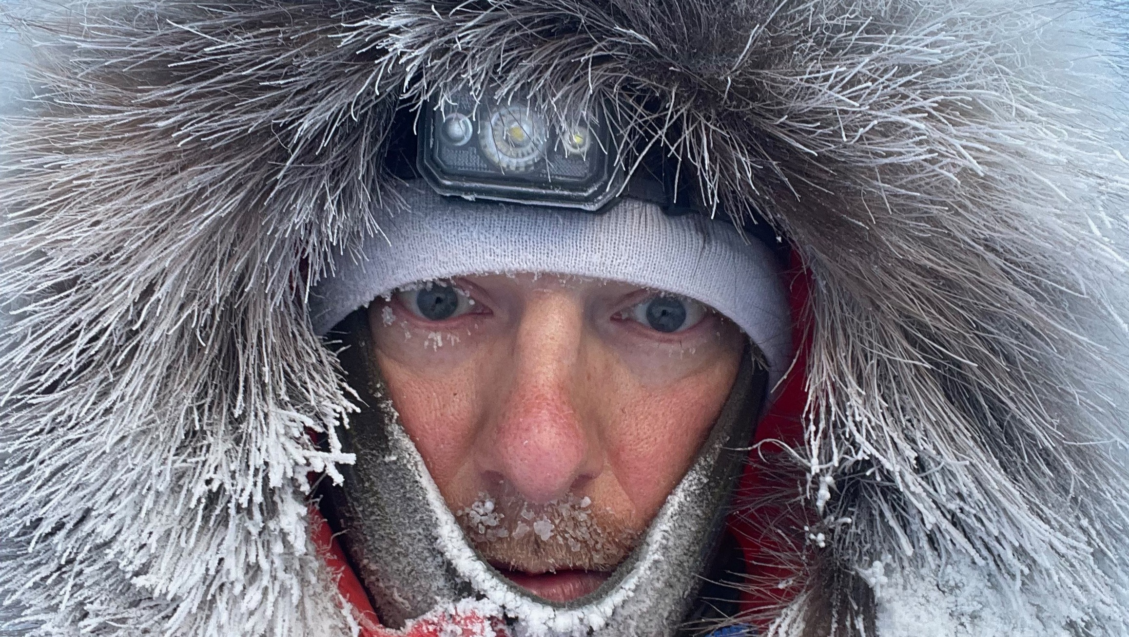 Fundraiser by Davya Flaharty : Tyson rides to Nome!