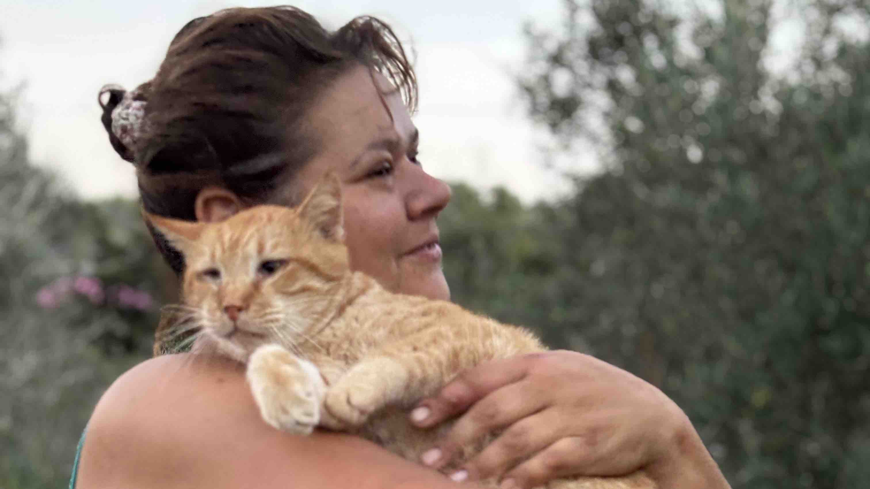 Fundraiser by Maria Malama : Help cats with special needs at Maria’s ...