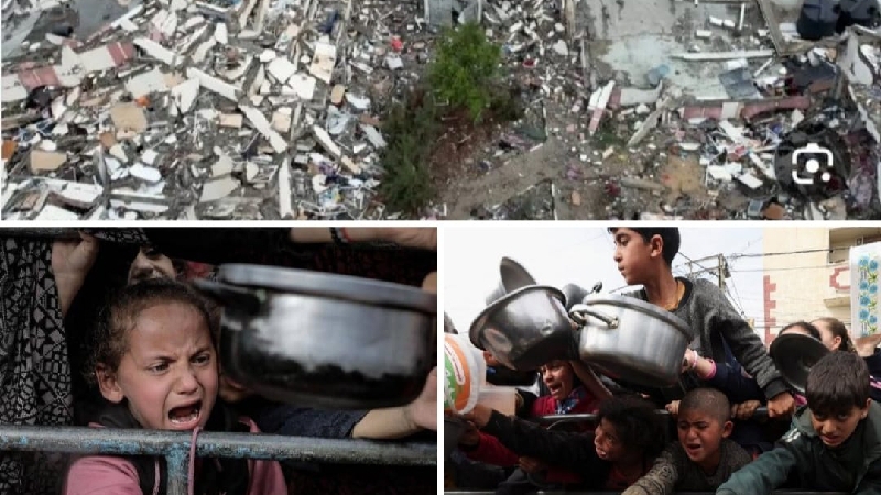 Fundraiser for Omar Awne by Omar Awne : Save my family, who lost ...