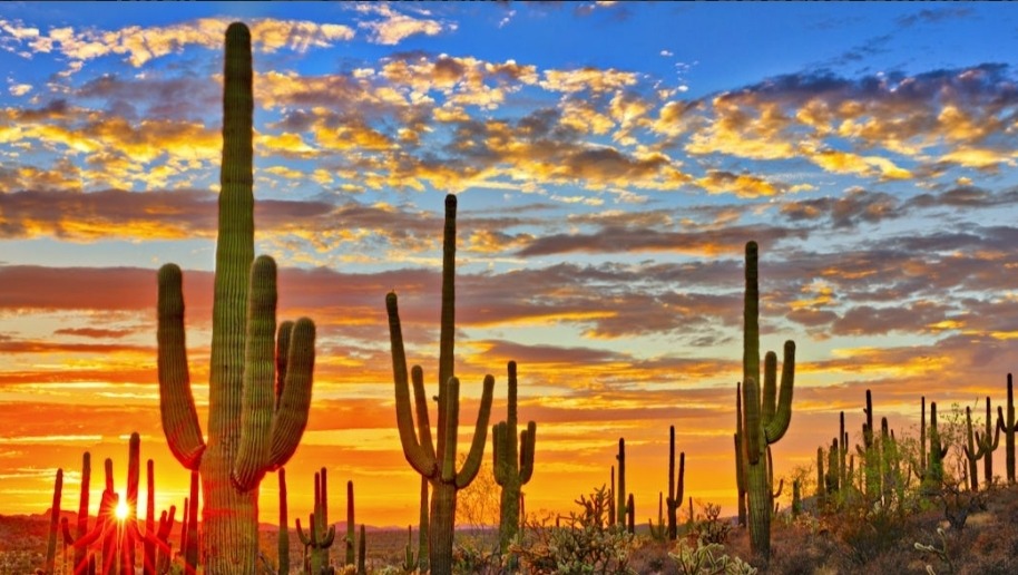 Fundraiser by Jennifer Spohn : John & Daniel's Cremation & Memorial ...