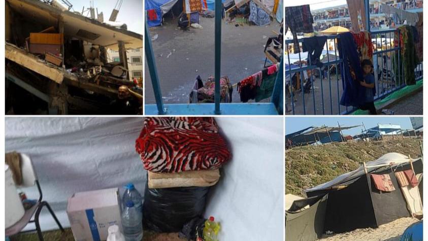 Fundraiser by Alida Jacobs : Help Yara's displaced family survive