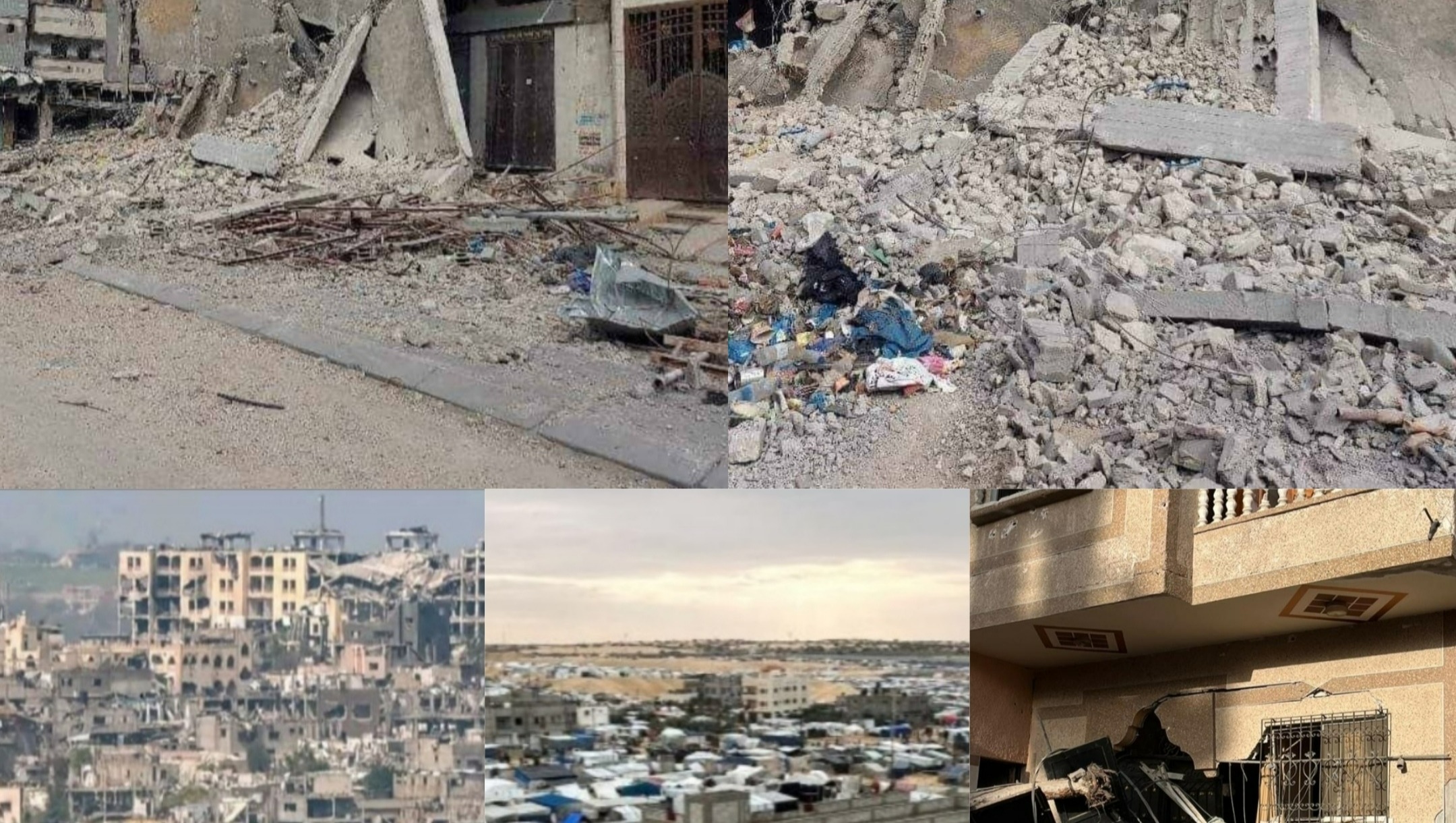 Fundraiser by Mohamad Ali : Support Shaban's family Escape Gaza, From ...