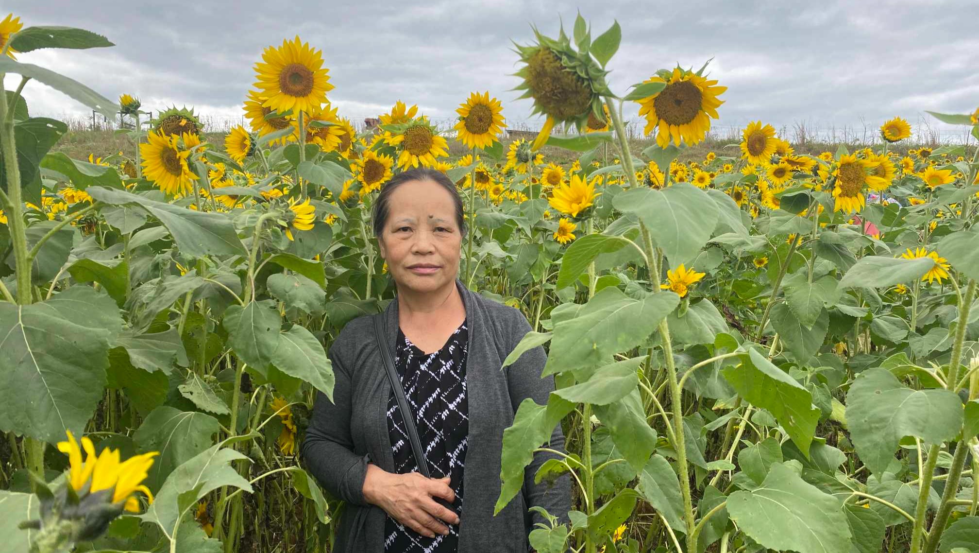 Fundraiser by Panou Xiong : In Memory of Lia Lee