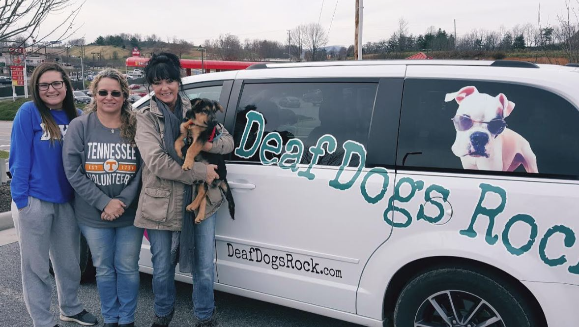 Fundraiser by Christina Lee : Keep Deaf Dogs Rock Rolling!