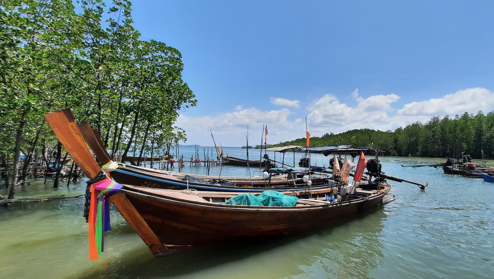 Fundraiser by Molly Ryan : LPN Fundraiser: A Fund to End Forced Labor ...