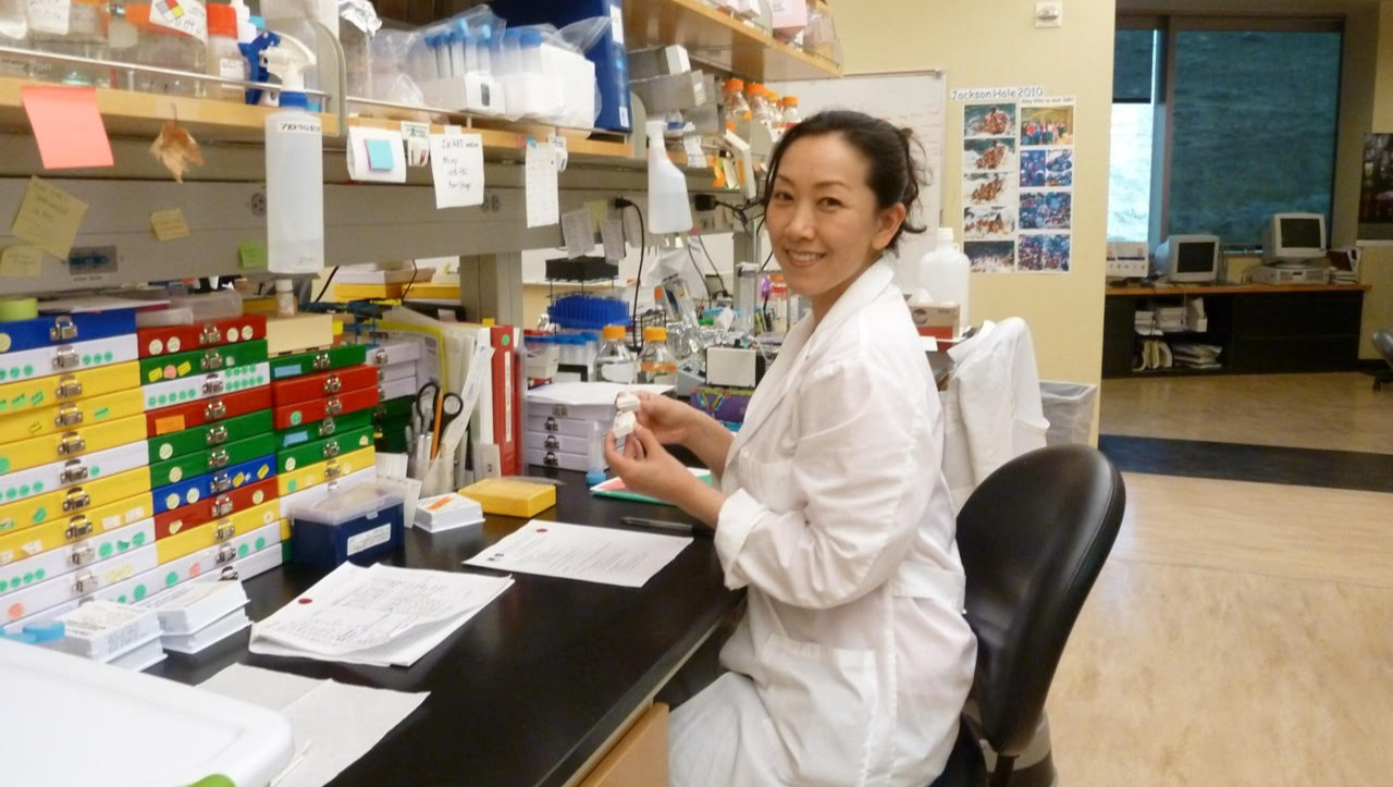 Fundraiser for Paul DeRose by Alana Welm : Dr. Yoko DeRose memorial fund