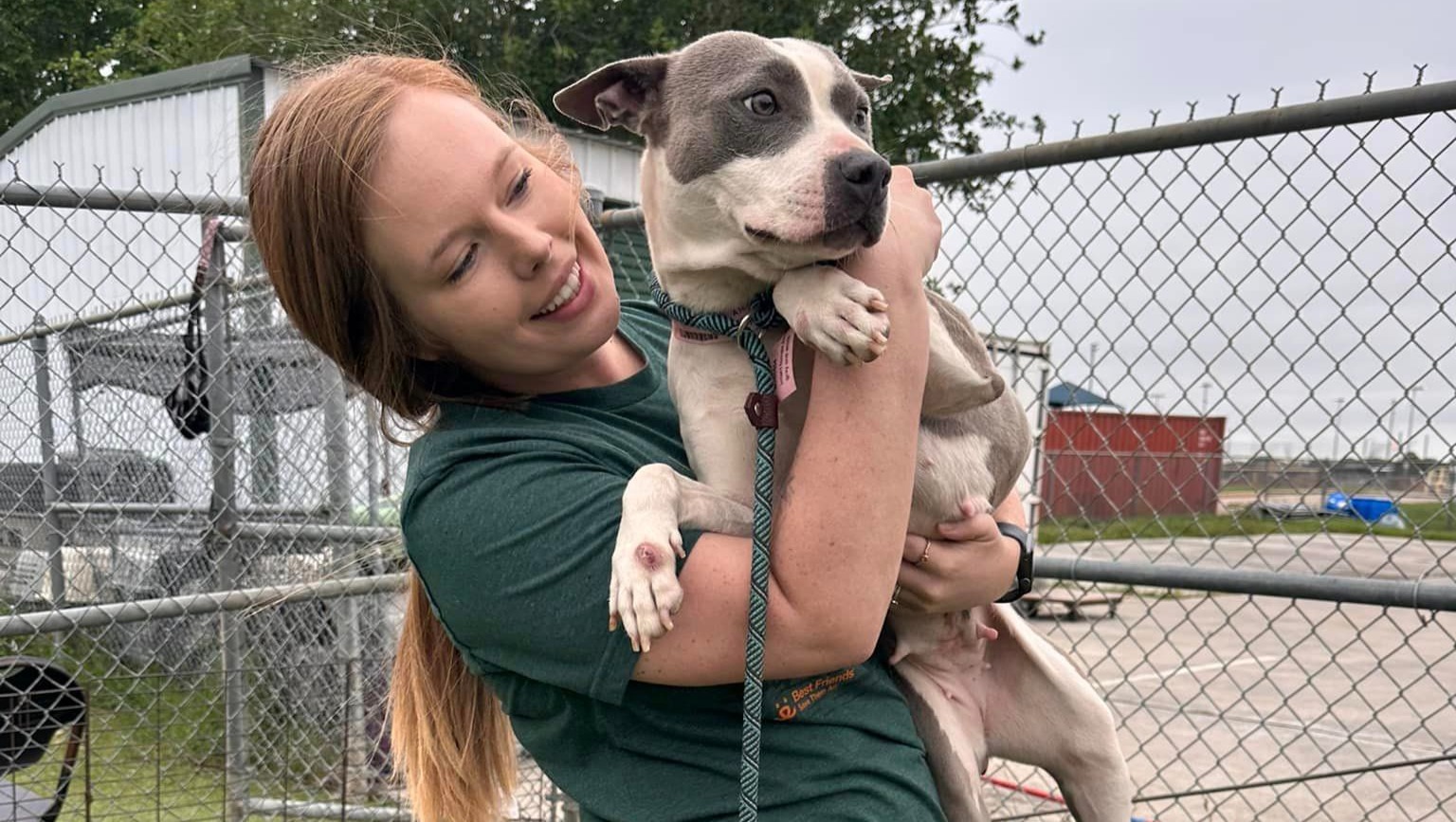 Fundraiser by Sarah Garcia : GoPro To Help Save Homeless Animals