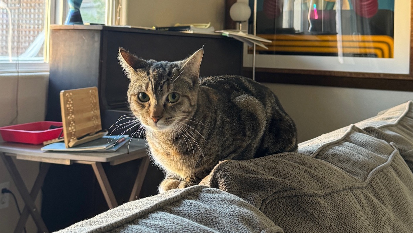 Fundraiser by Kegan Lopez-Prestidge : Sibelius' Struggle: A Beloved ...