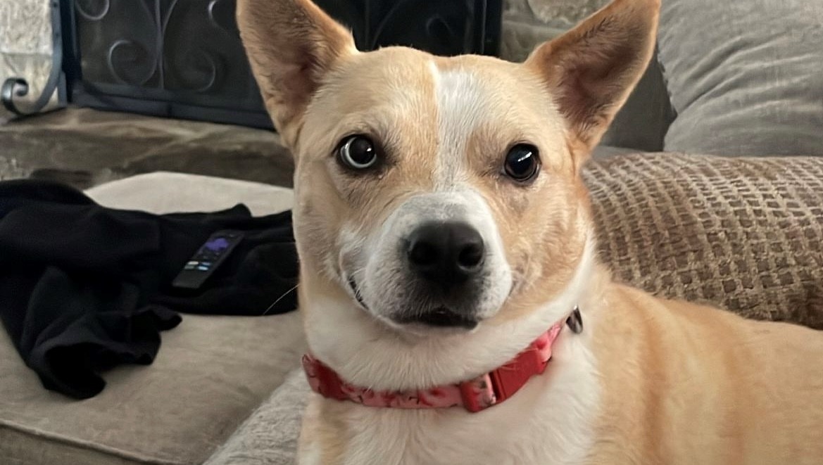 Fundraiser for Destiny Lawson by jennifer askenas : Help our baby girl ...