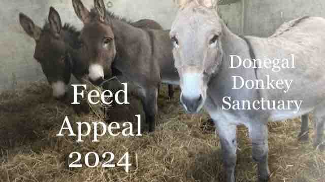 Fundraiser by Sandra Curran : Feed & Bedding Appeal 2024