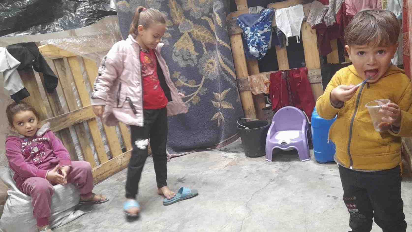 Fundraiser by Yasmeen Abutaleb : Help my family in Gaza
