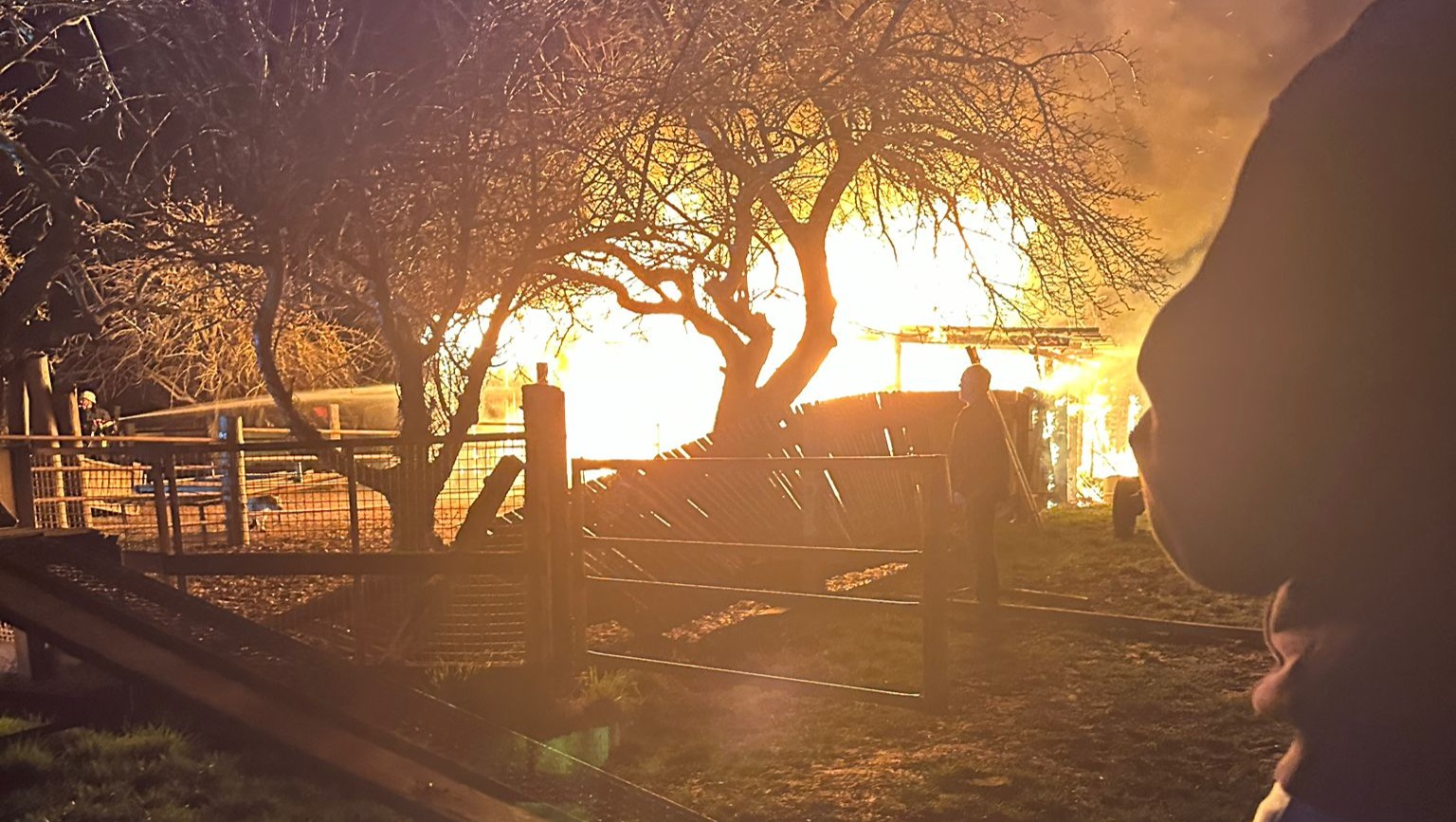 Fundraiser by Jennifer Schipper : Hilfe für unsere Esel und Ziegen