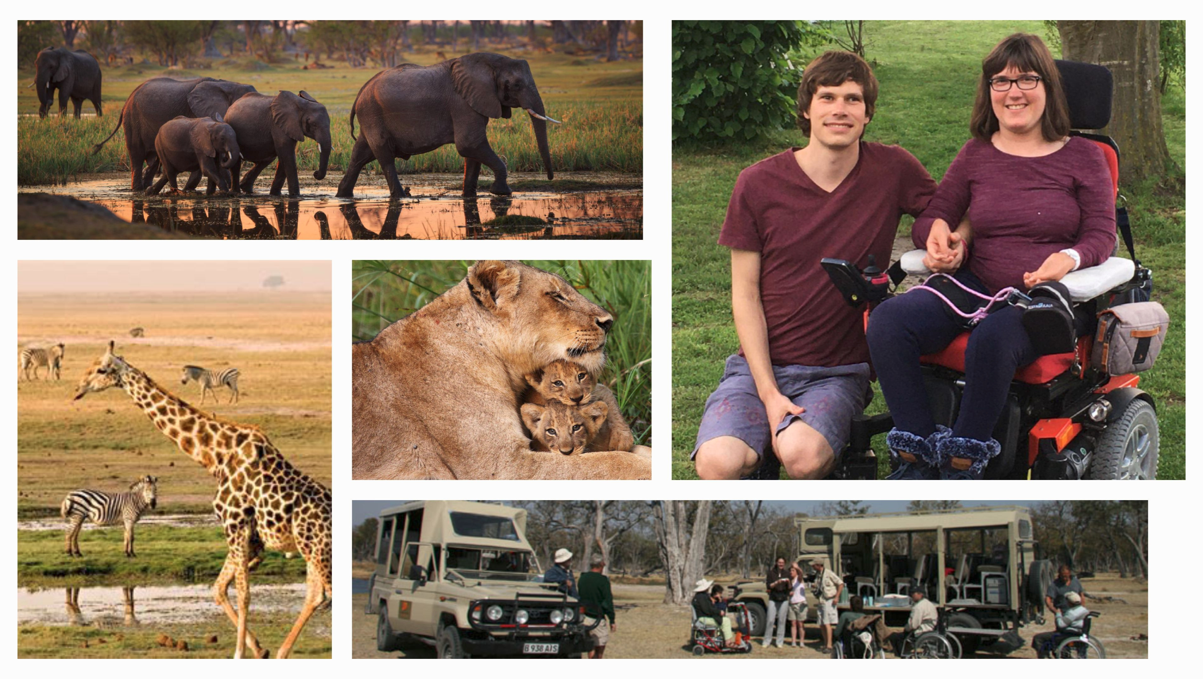 Fundraiser by Stefanie Fischer : Herzenswunsch Safari