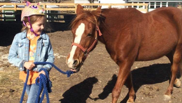 Fundraiser by Landon Vaught : Elizabeth Ann Whitelaw Memorial Scholarship