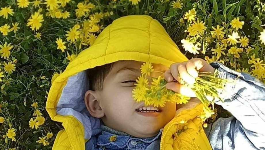 Fundraiser for Ibrahim Adwan by Mohammed Adwan : Help my family escape ...