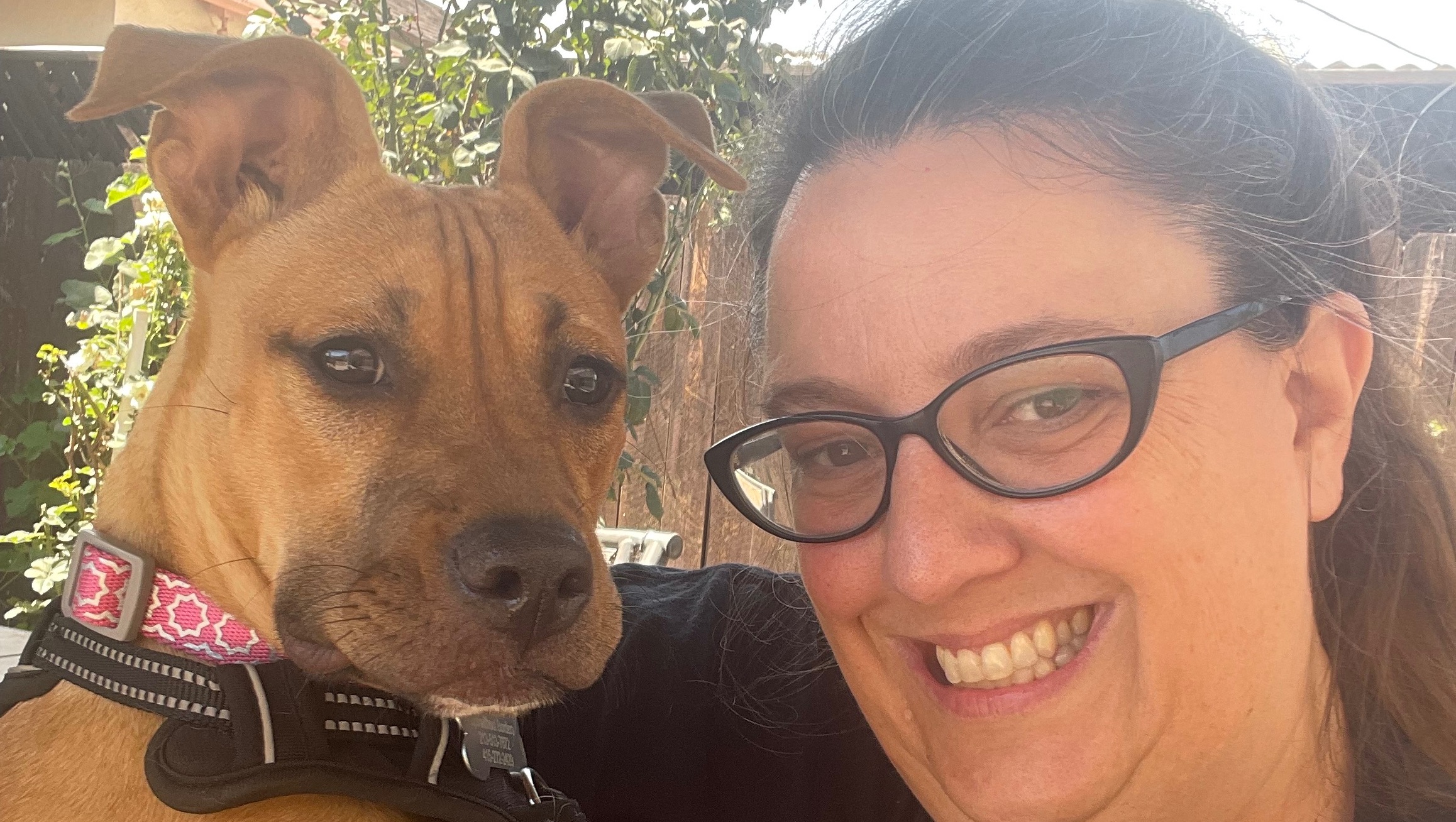 Fundraiser for Joanna Dodson by Erica Delaney : Help Joanna as she heals!